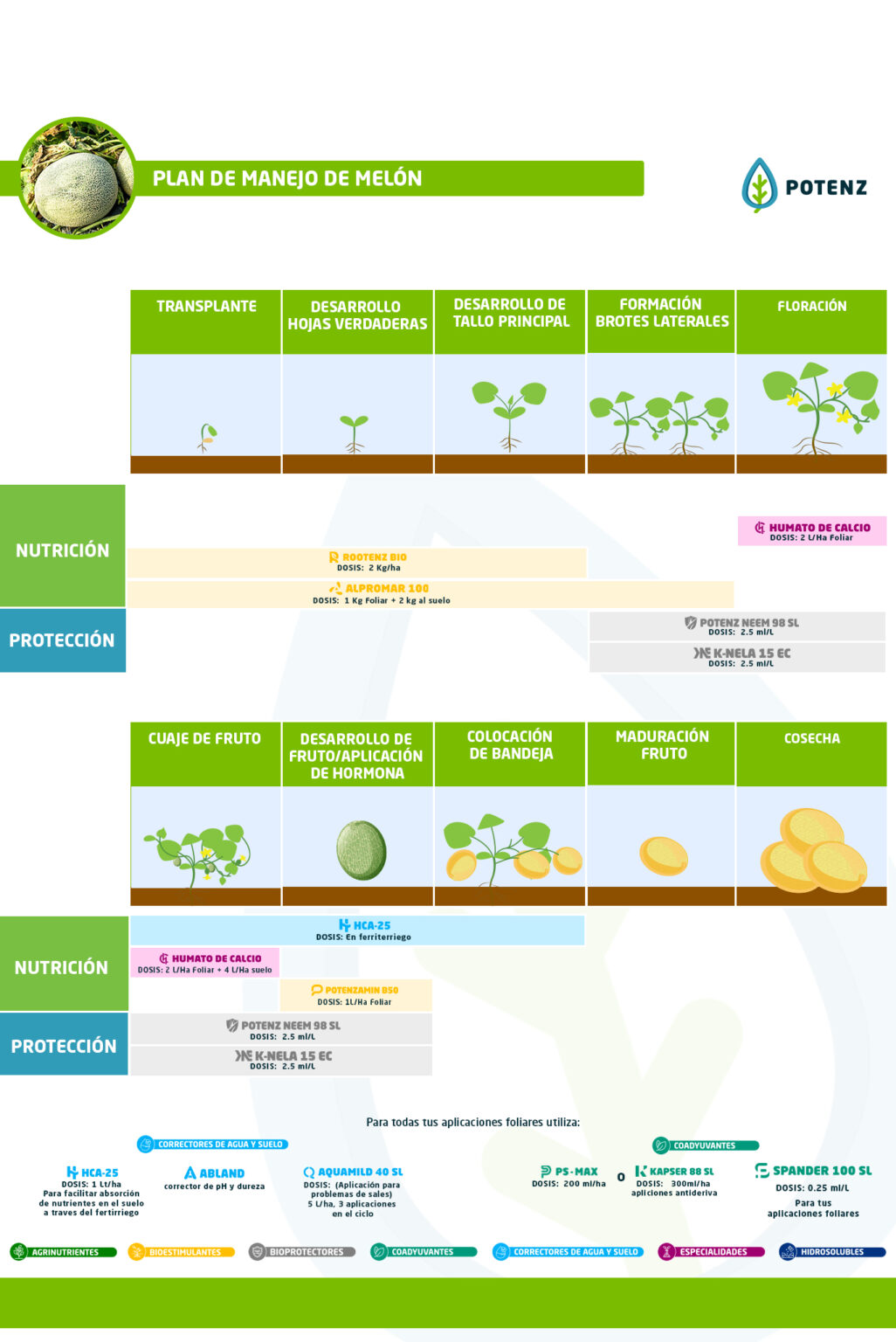 Melón | Programa nutricional y productos agrícolas - Fertilizantes ...